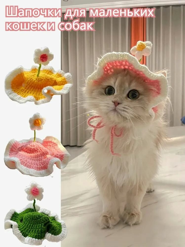 Вязаные шапочки для кошек и собак