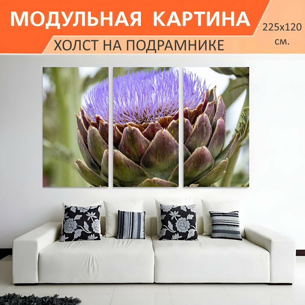 Модульная картина на холсте "Цветущий артишок красивое растение артишок в цвету Артишок овощной цветущий цветение цветок пурпурный природа весна" триптих на подрамнике 225х120 см. для интерьера