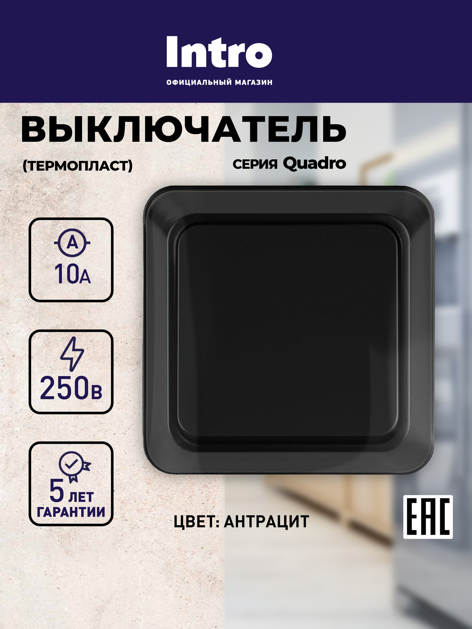 Выключатель накладной Intro Quadro одноклавишный 10А-250В IP20 открытой установки антрацит