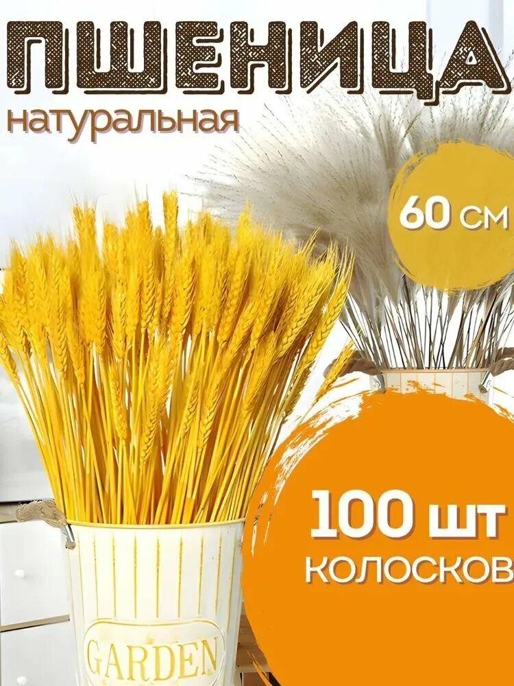 Сухоцветы Пшеница, 60 см, 90 гр, 1 шт