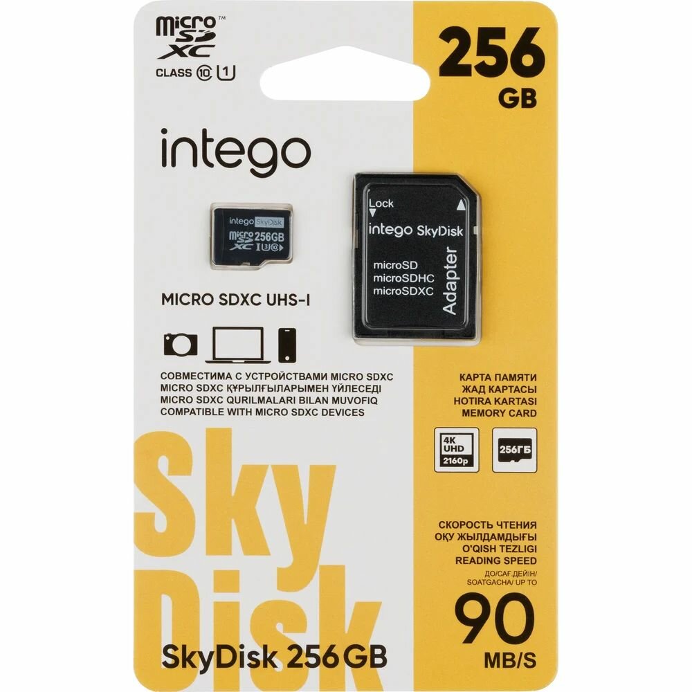 Карта памяти INTEGO SkyDisk SD-256