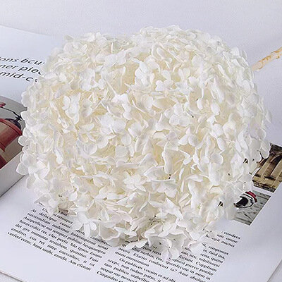 Вечная гортензия Анна, маленькие листья, цветное поглощение, отбеленный DIY цветочный материал, настоящий цветок, фабрика Юньнань, в наличии, оптовая продажа, сухой цветок