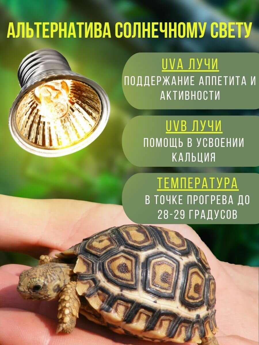 Лампочка для обогрева террариума 25 Вт, UVB 3%, Е27 для обогрева ящериц, птиц, черепах