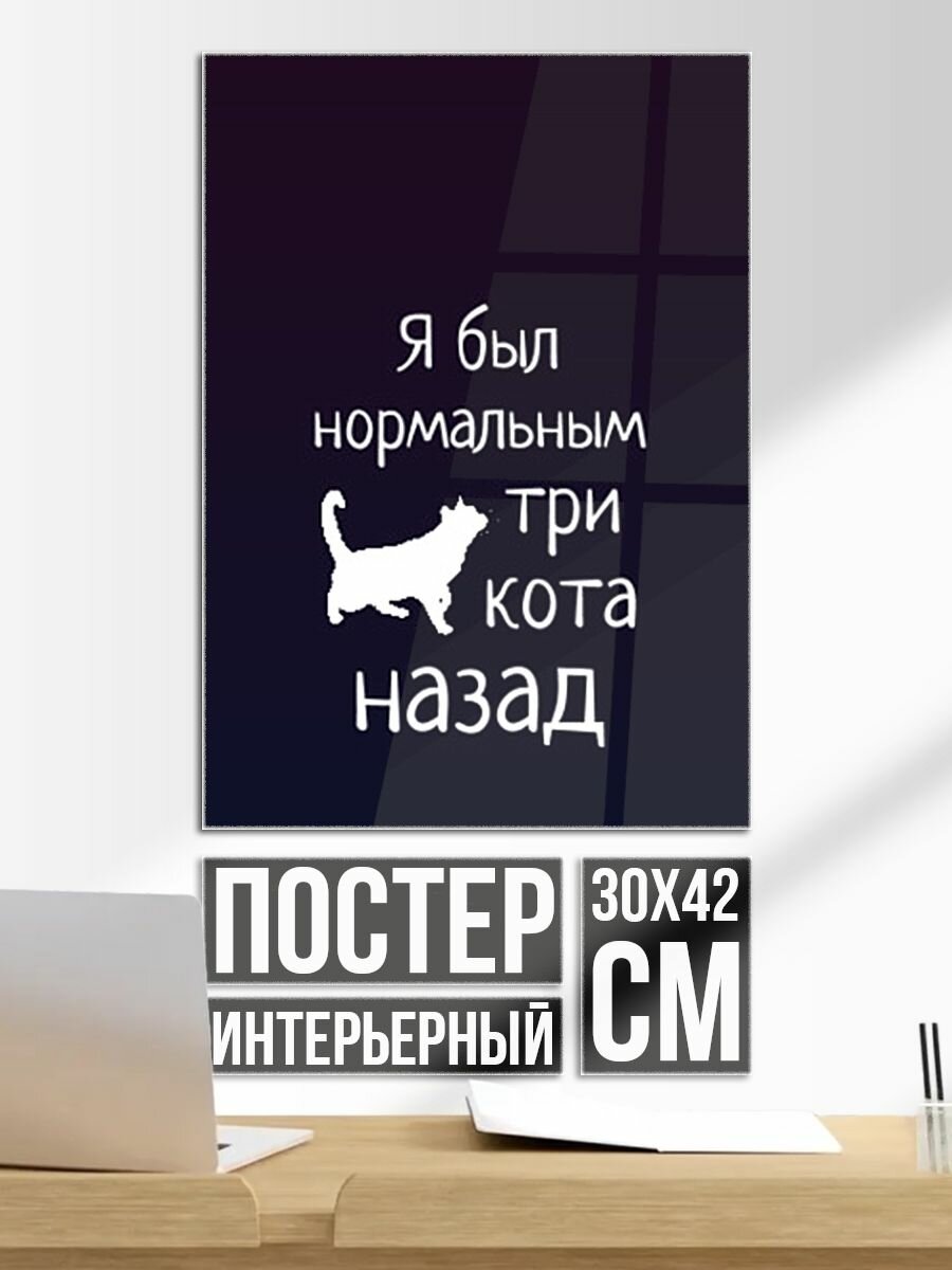 Постер на стену Я был в норме три кота назад