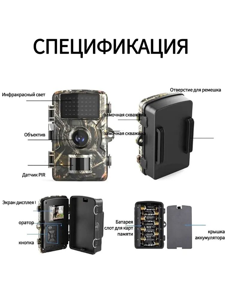 Фотоловушка — фото 1