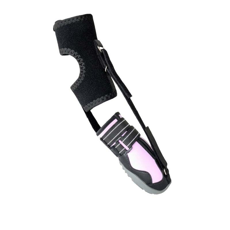 Корректирующий бандаж для собак при падении лапы, Черные гвоздики - M