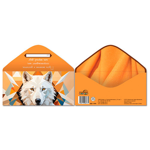 Конверт для денег КДС2-17045 "Сфера"