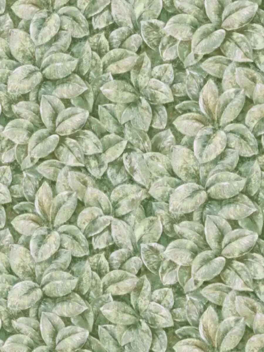 Обои флизелиновые 1.06, Erismann, "Velvet", 60622-03, светло-зеленые листья