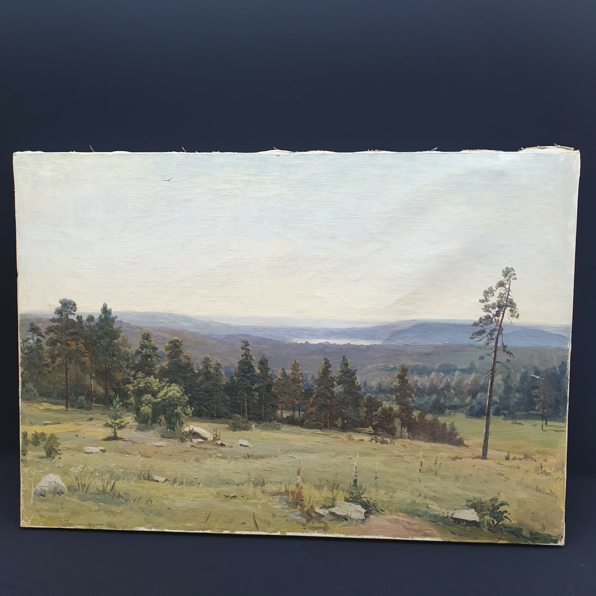 Винтажная картина Утренняя долина, холст, масло, 70х100 см, без рамы СССР