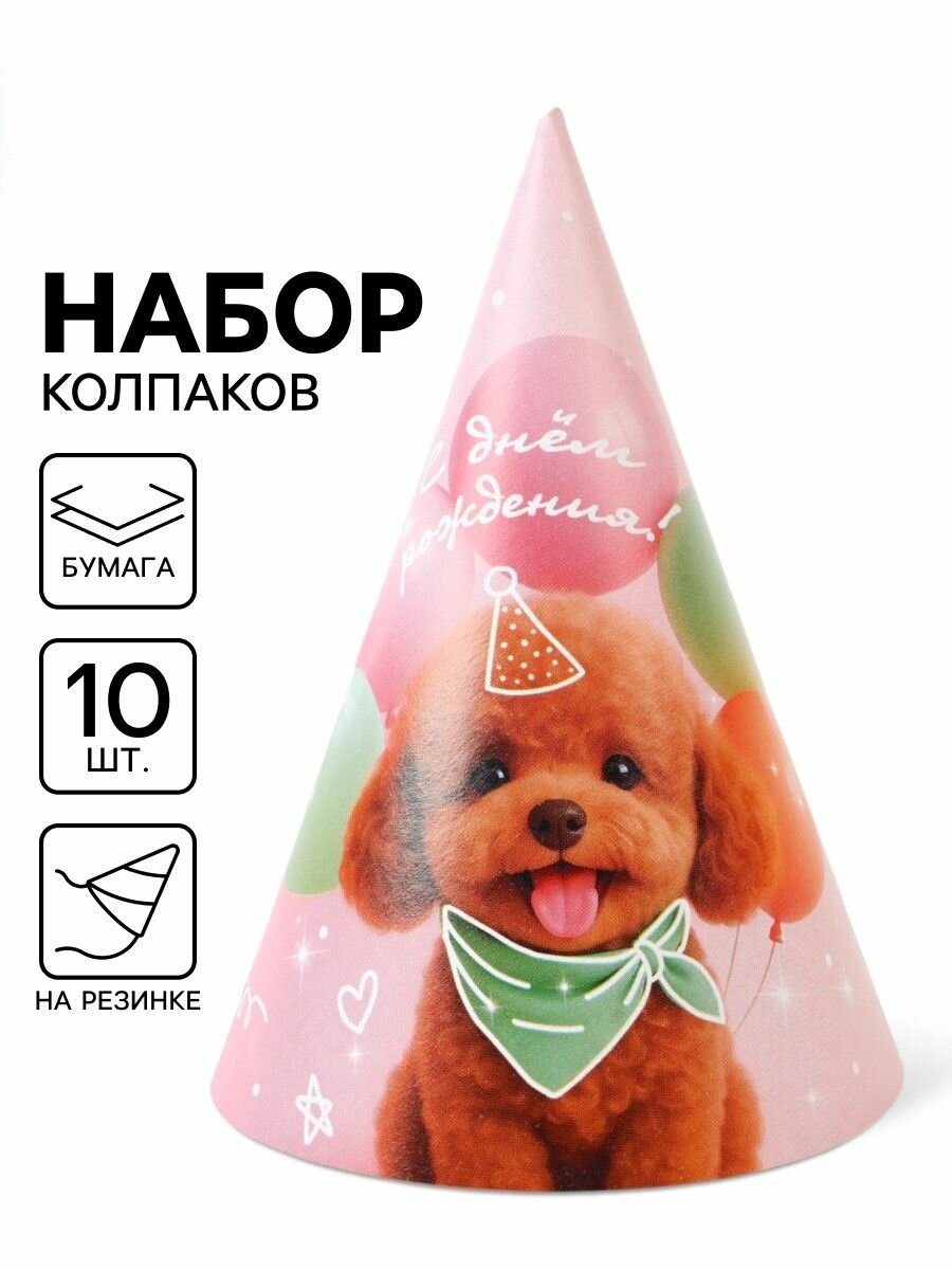 Набор колпаков бумажных 10 шт. С Днём рождения, собачка , розовый