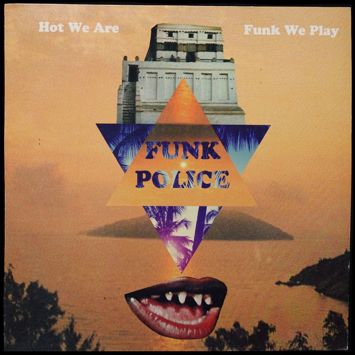 Виниловая пластинка Avant! Funk Police – Hot We Are Funk We Play