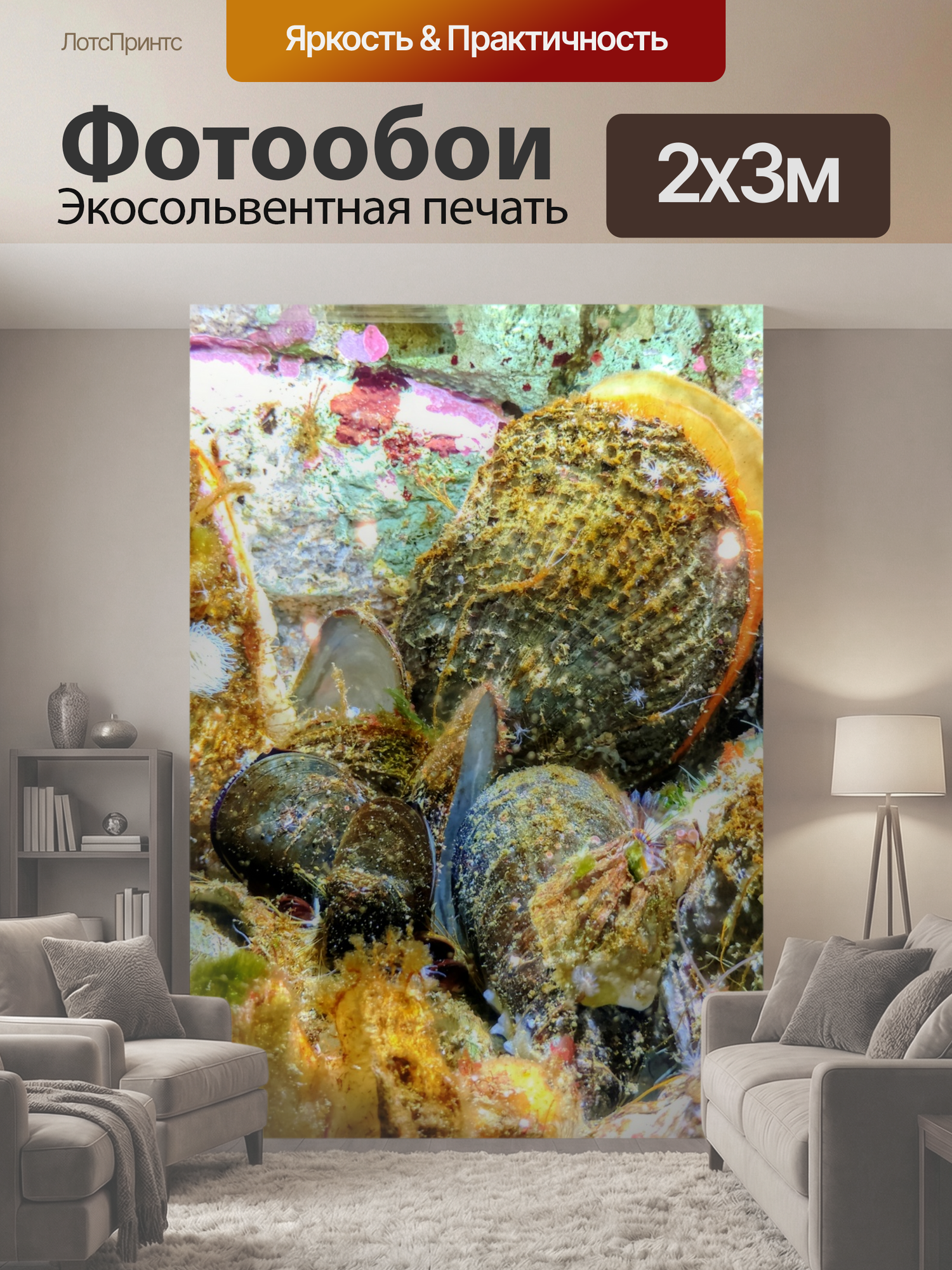 Фотообои "Моллюски художественное прикосновение к морским моллюскам в аквариуме моллюск моллюски аквариум двустворчатые моллюски морская жизнь океан море" 200x300 см. экосольвентная печать