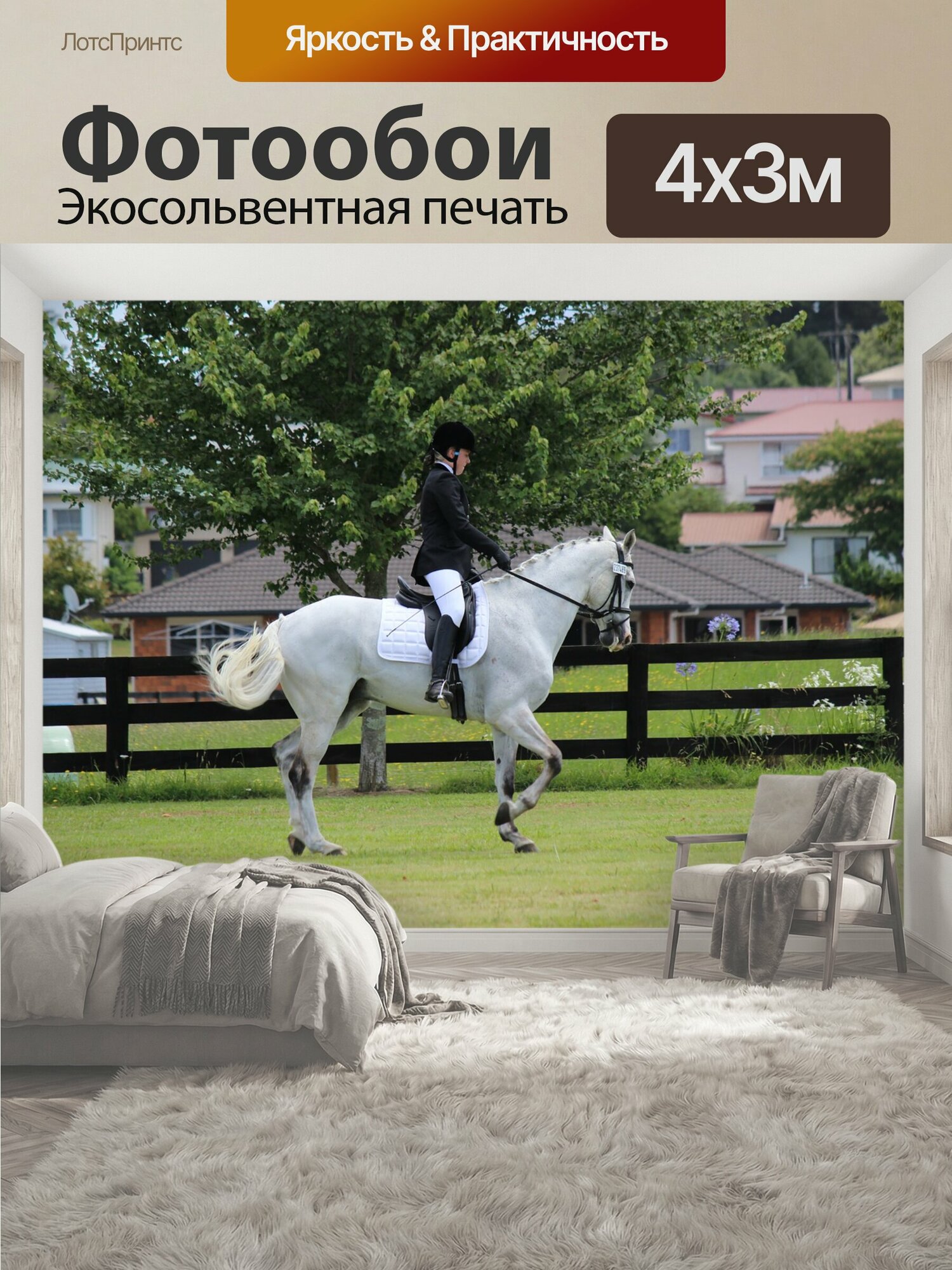 Фотообои "Лошадь, верховая езда, выездка" 400x300 см. экосольвентная печать