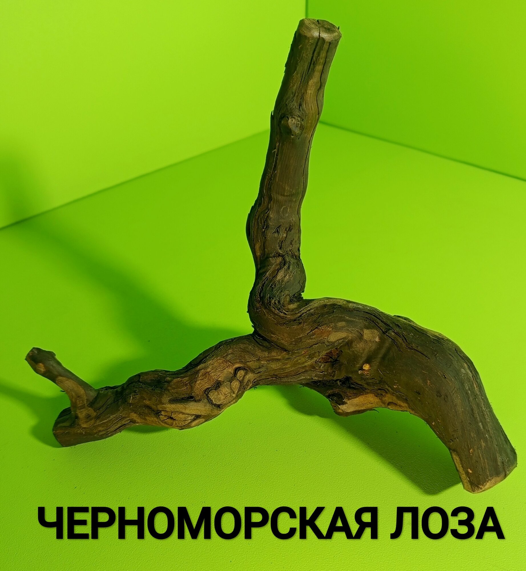 Декорация виноградная лоза черноморская мини для аквариума, террариума, вольера, дизайна и творчества. Натуральная коряга.