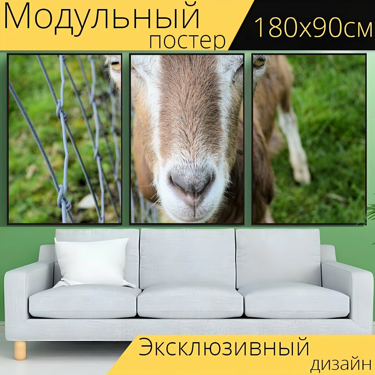 Модульный постер "Козы Фотографии с одним или несколькими коз коза крупный рогатый скот животное коз ферма сельскохозяйственные." 180 x 90 см. для интерьера на стену в тубусе