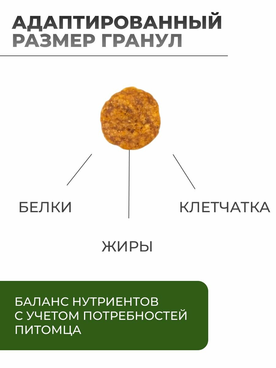 Корм сухой