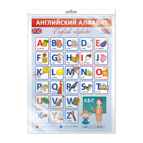 Плакат А3+ "Английский алфавит" ПЛ-14896 "Сфера"