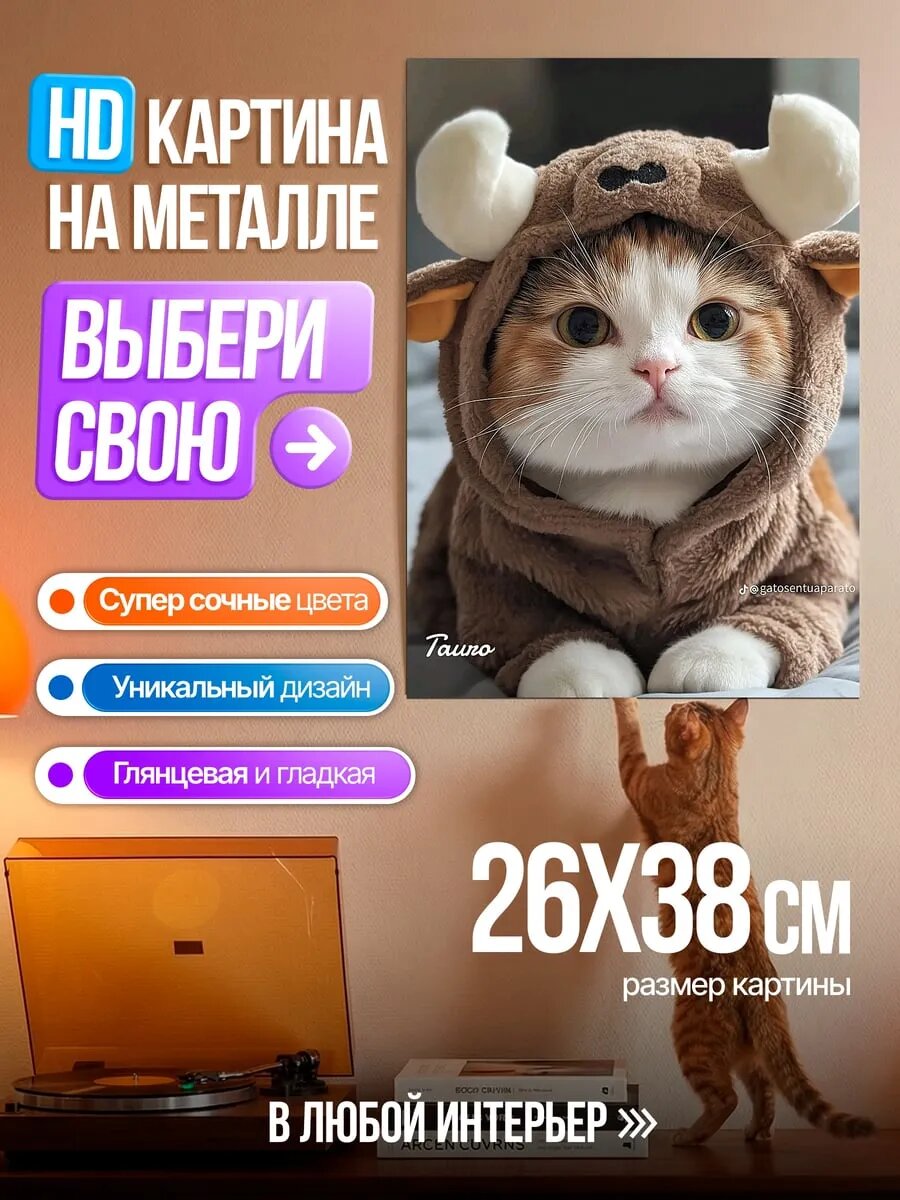 Картина на HD металле Кот в костюме