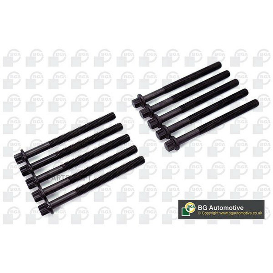 К-КТ болтов ГБЦ CIT SAXO/C3/XSARA /PGT 206/307 1.6 16V 97- (M10x1.5x117) от официального дистрибьютора, BGA, артикул BK2339