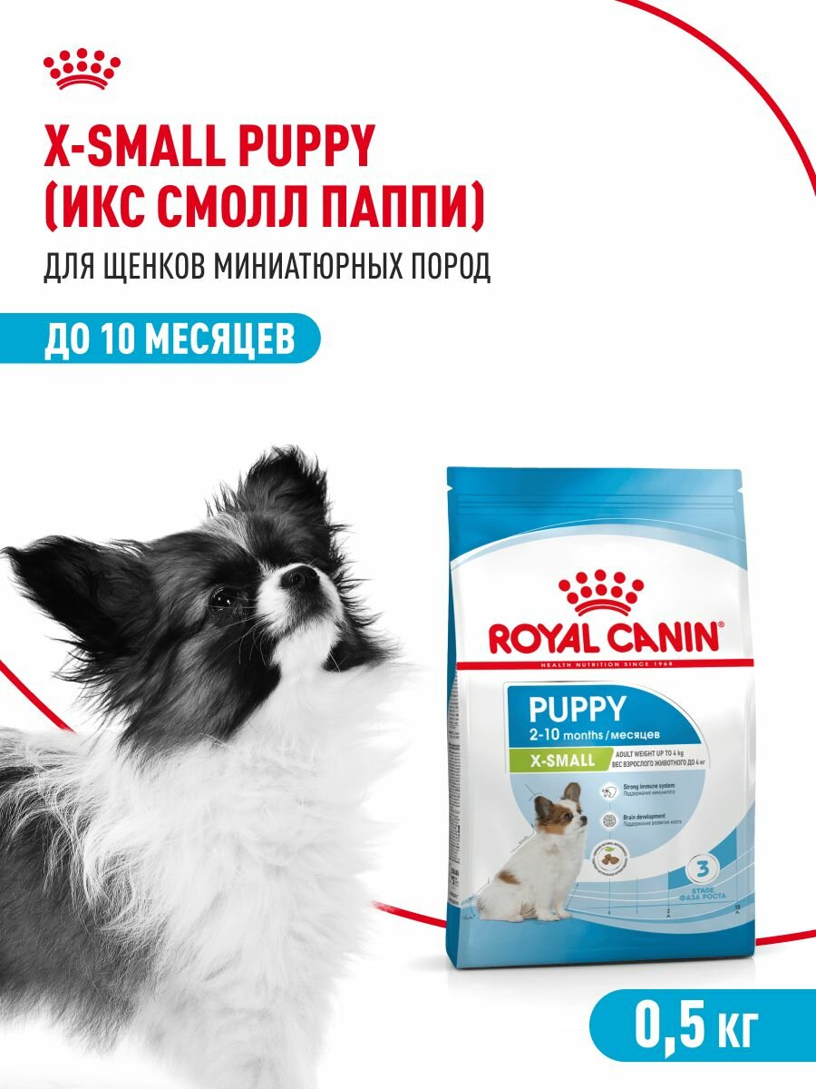 Сухой корм для щенков Royal Canin X-Small для миниатюрных пород, 500 г
