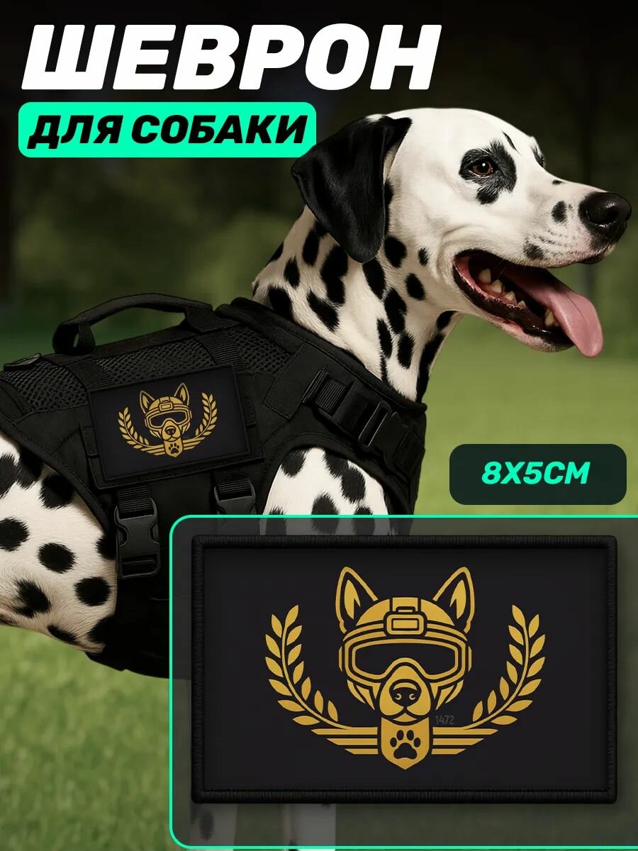 Шеврон на липучке для собаки