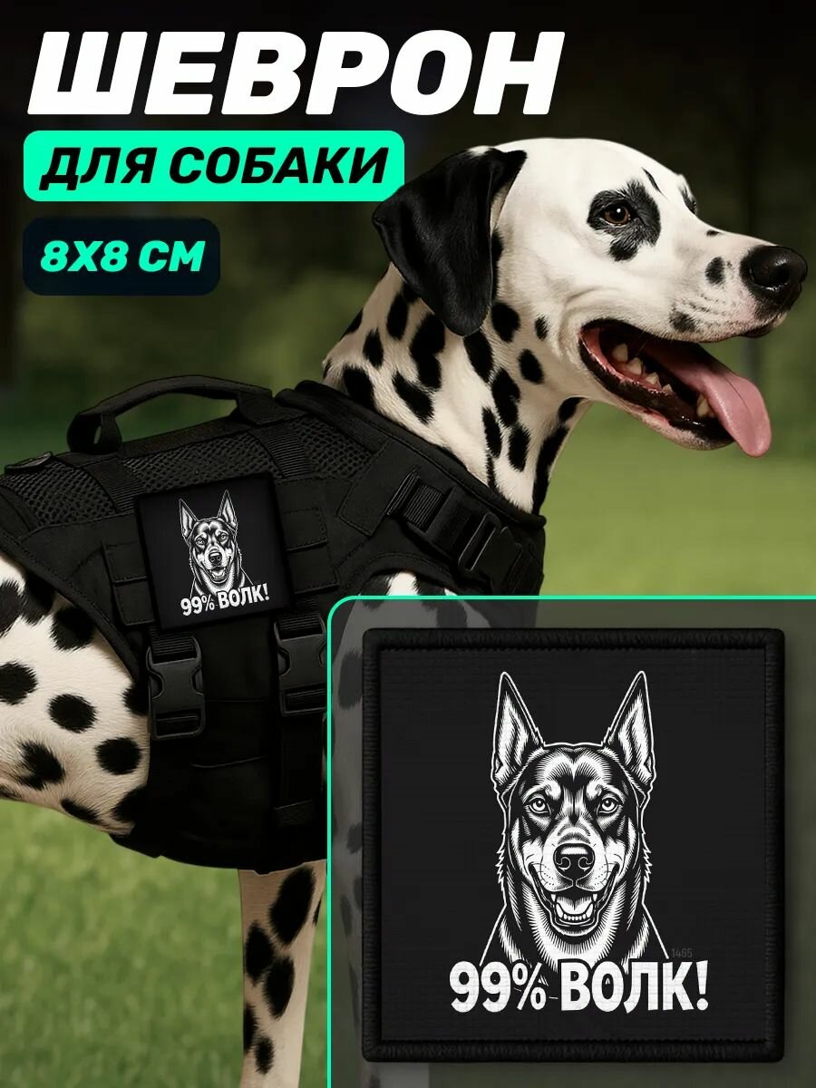 Шеврон на липучке для собаки 99% волк Доберман