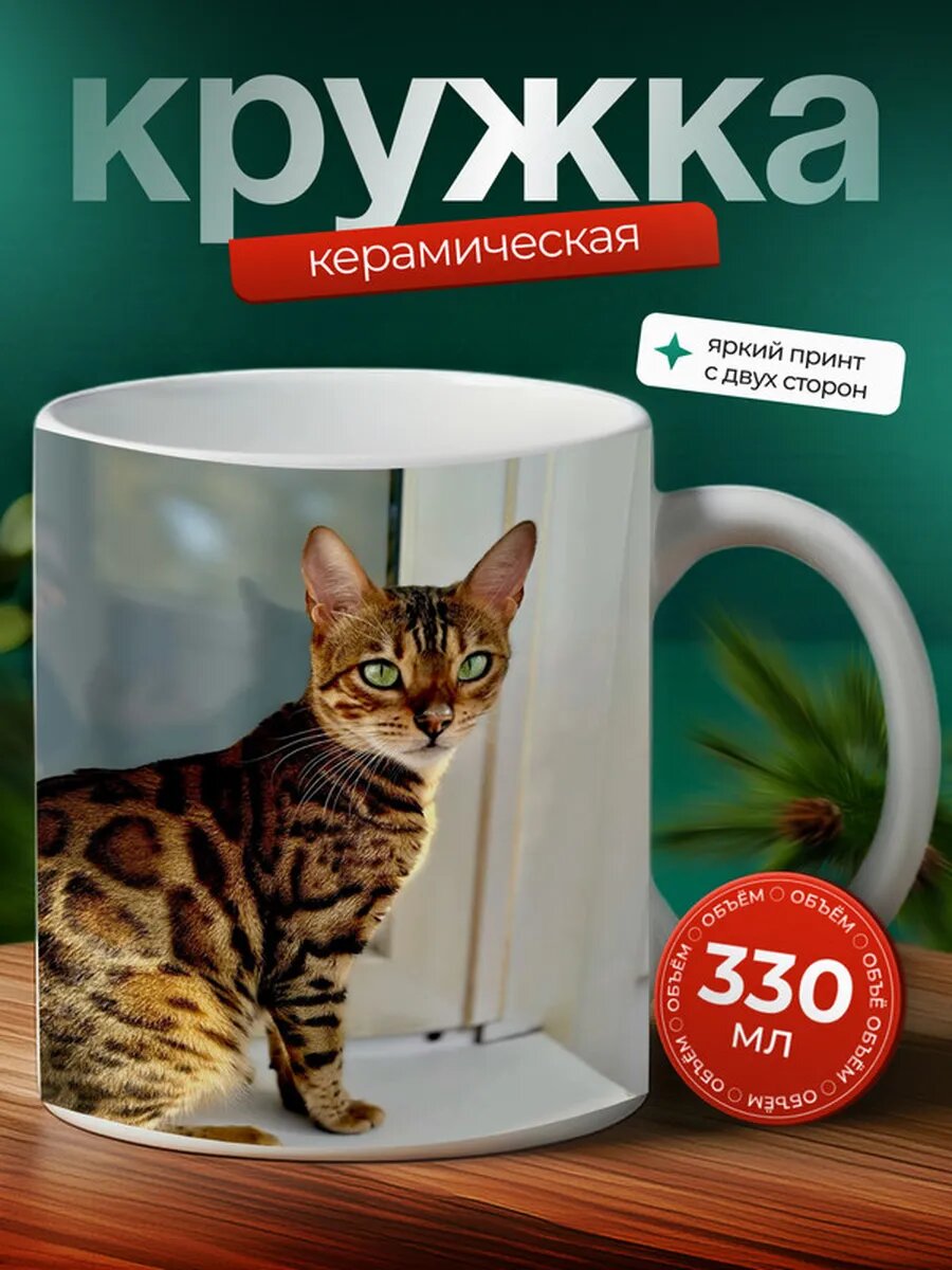 Кружка Индонезийский облачный кот 28,
