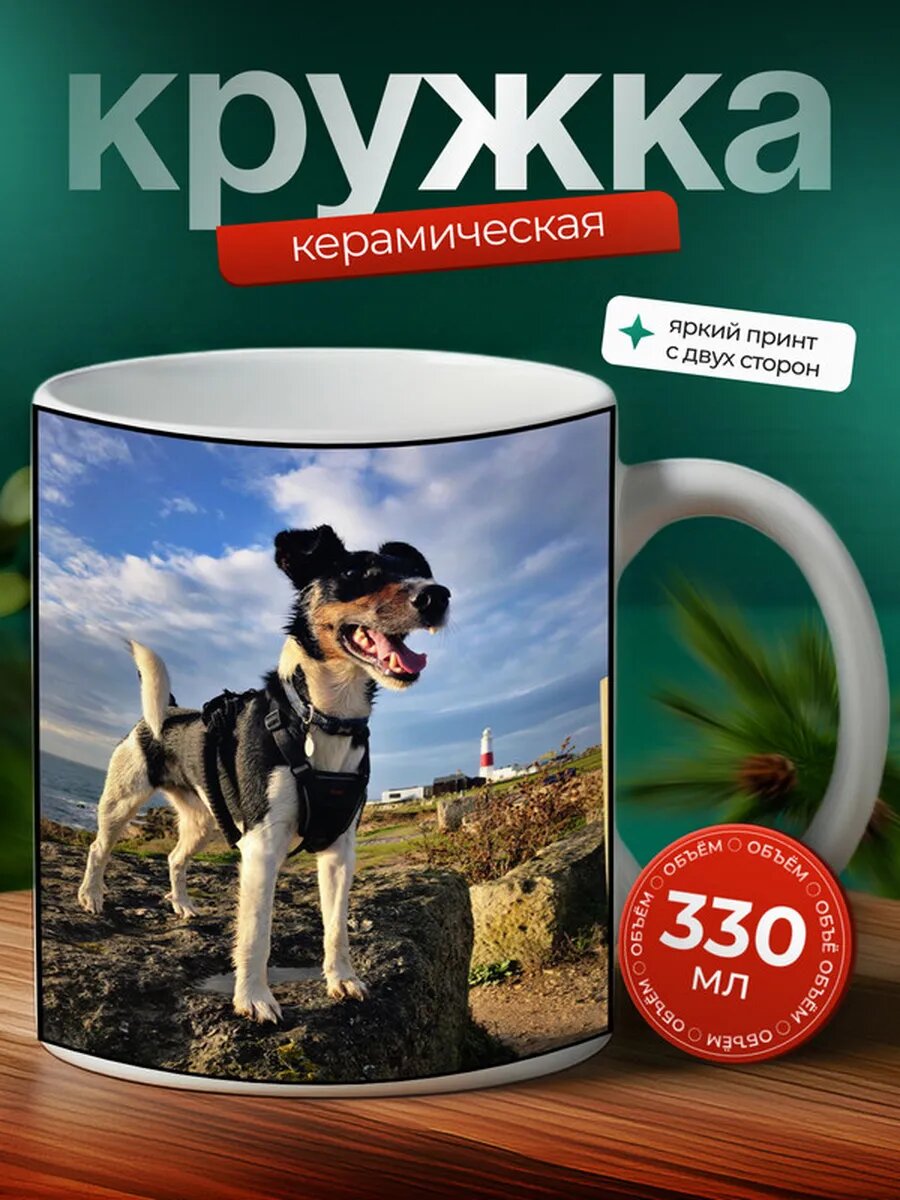 Кружка Фокстерьер 13,