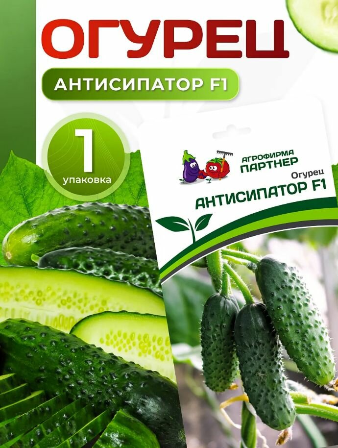 Семена огурцов Антисипатор
