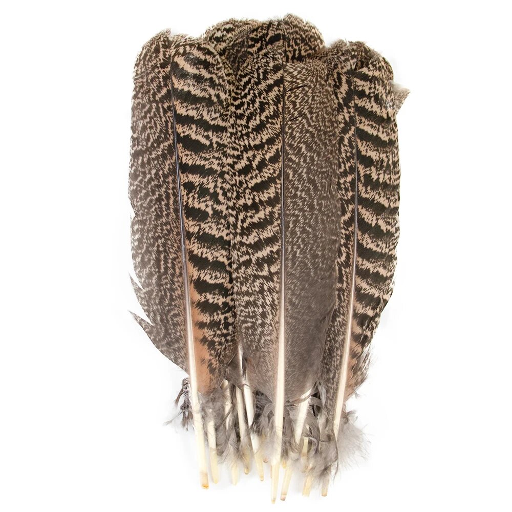Натуральные перья павлина 10 шт. 25-30cm