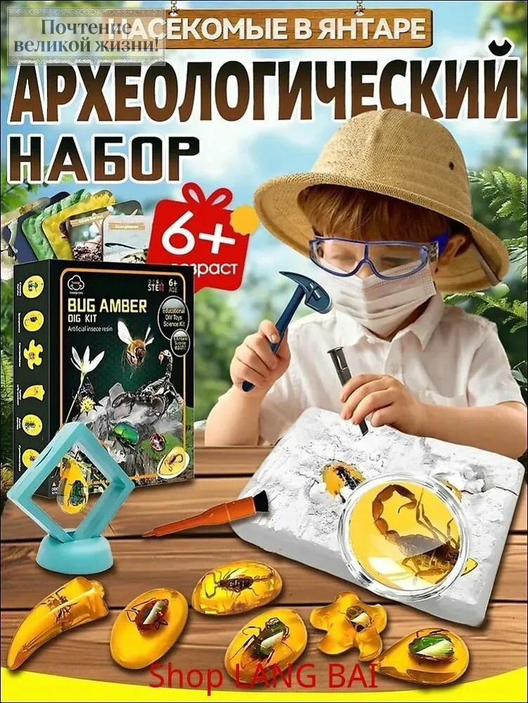Археологический набор раскопки настоящих насекомых в янтаре с карточками