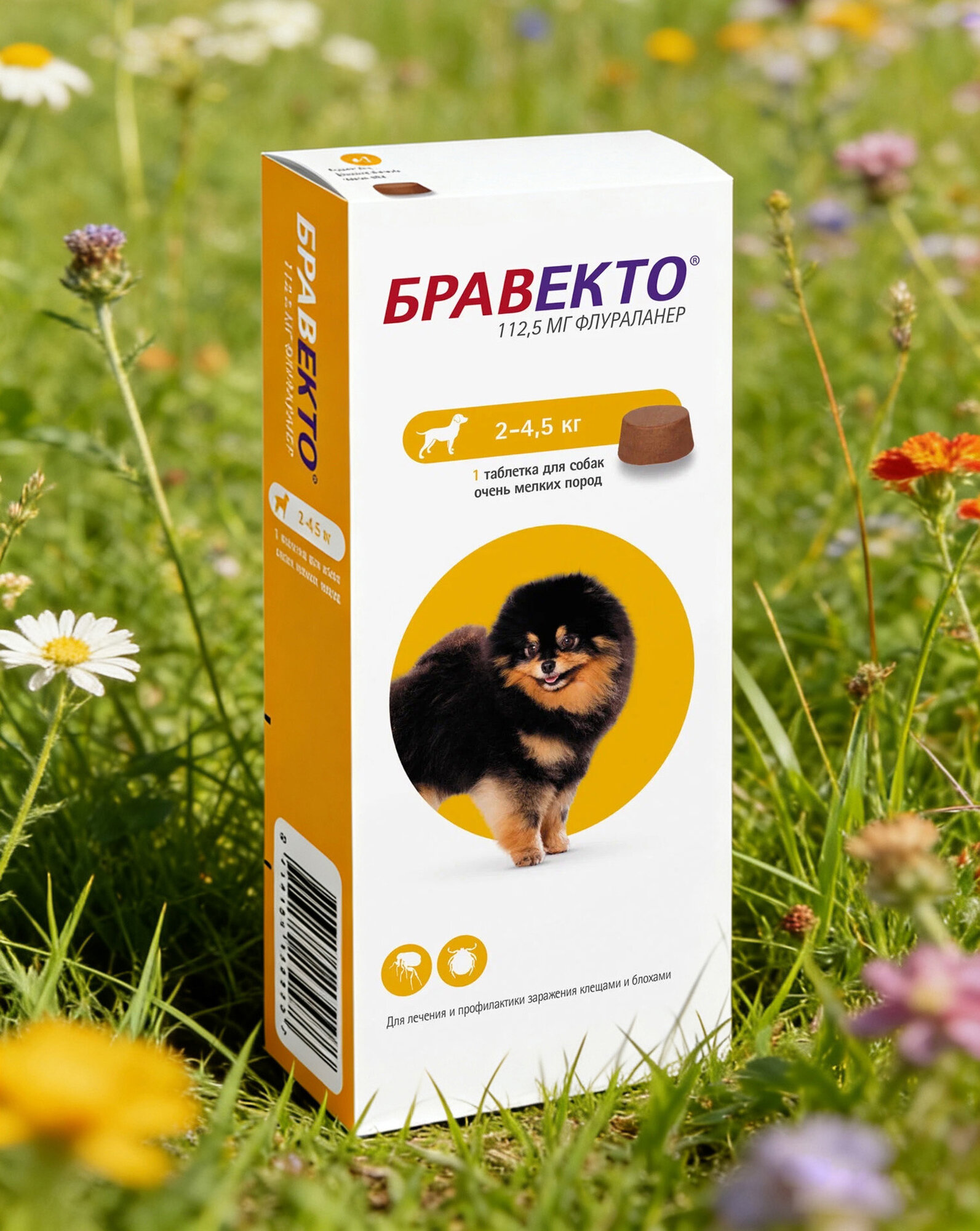 MSD Animal Health Бравекто таблетки от блох и клещей для очень мелких пород собак 2-4,5кг, 1 шт. в уп, 1 уп.