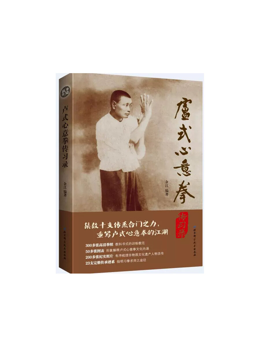 Записи обучения и передачи стиля Лу Синьицюань. Китайская версия. ISBN 9787530497265. Наследие мастера Лу Сунгао.