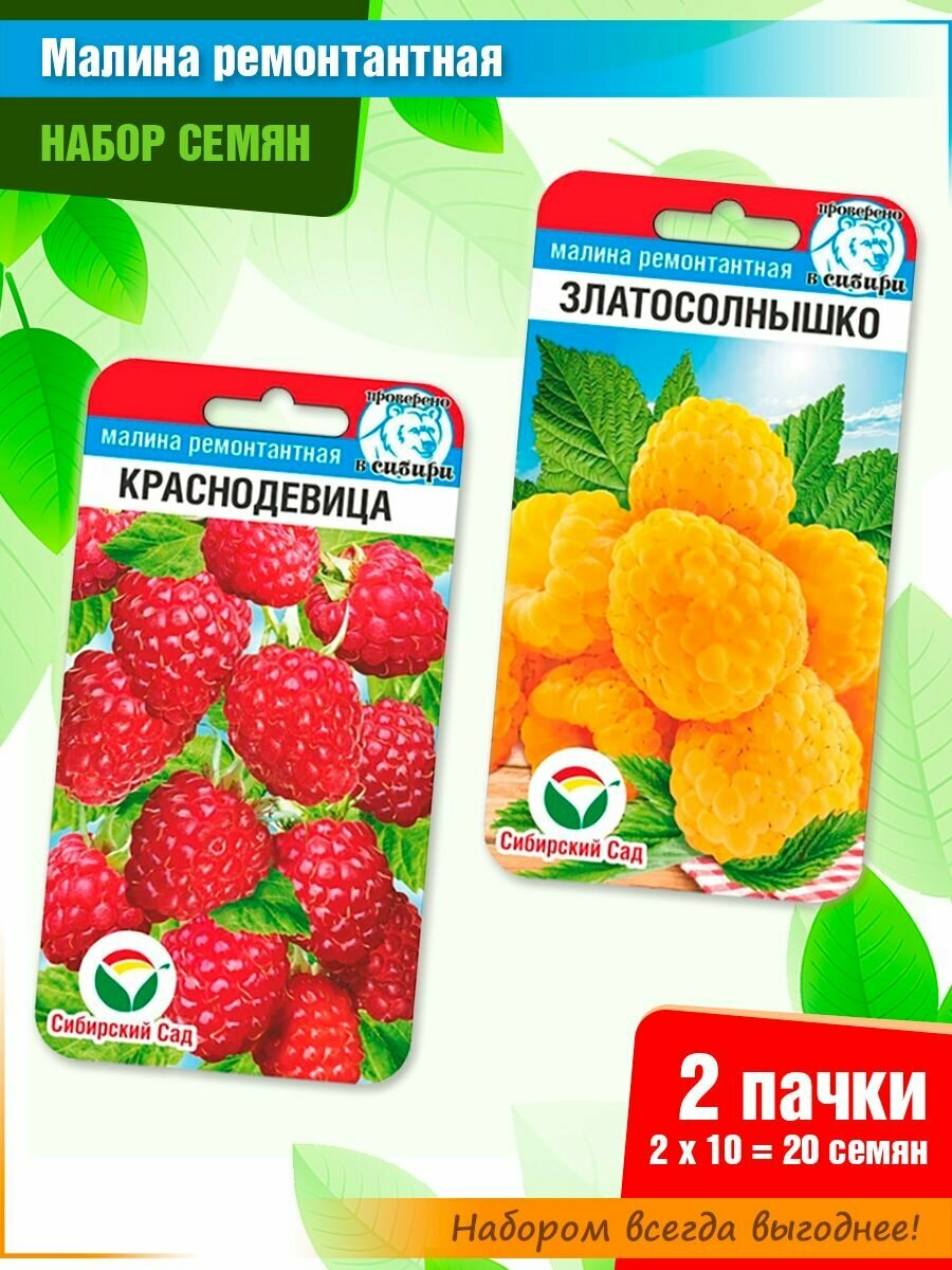 Набор семян крупноплодной малины от компании Сибирский сад (2 пакета)