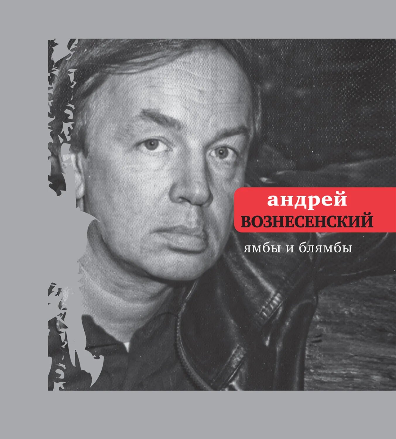Ямбы и блямбы [Цифровая книга]