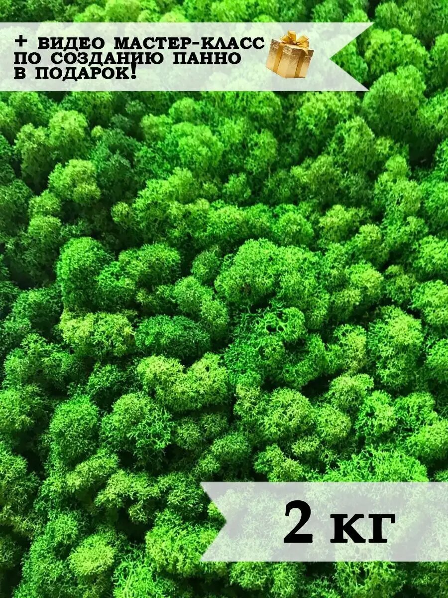 Мох для декора, дизайна и озеленения