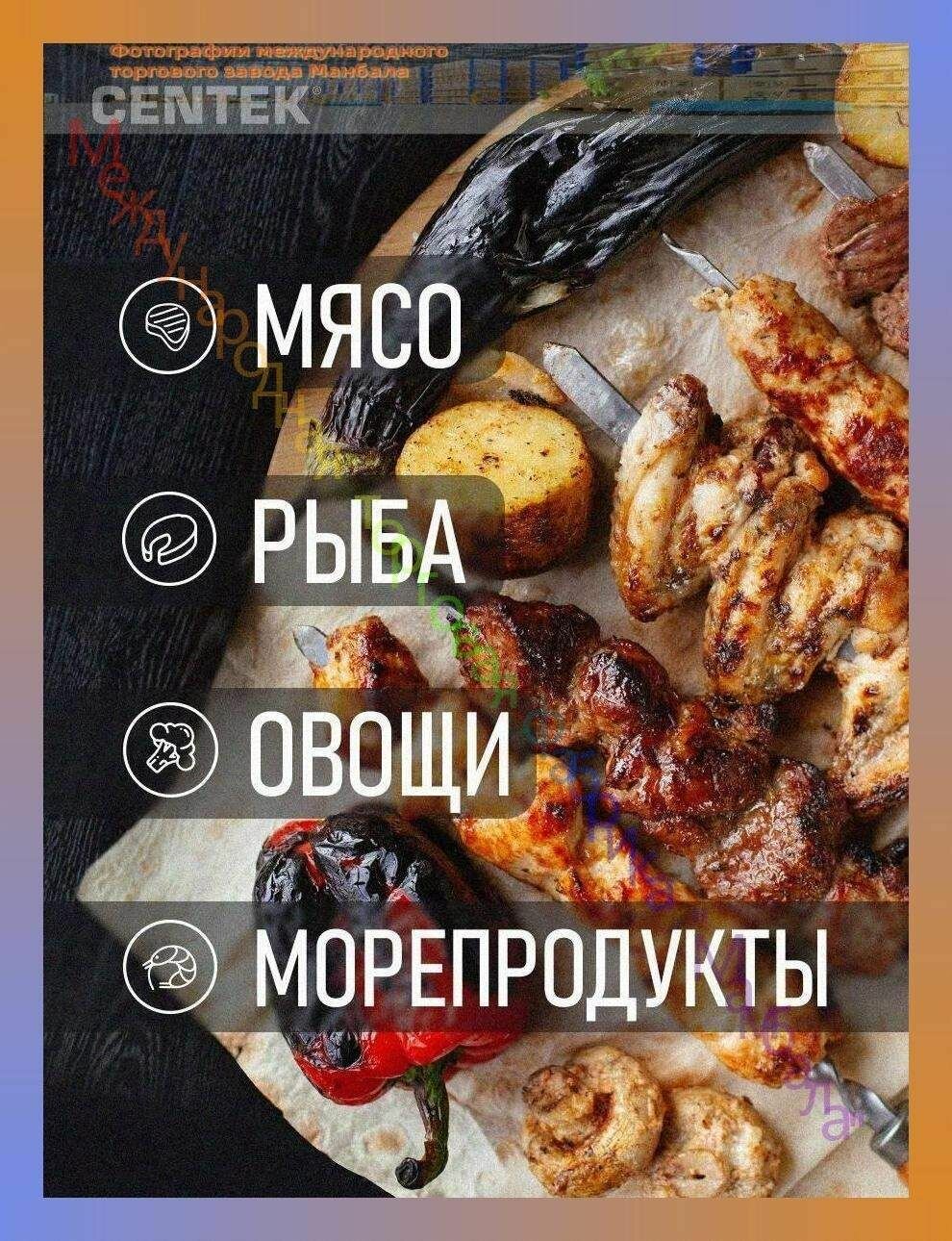 Электрошашлычница — фото 1