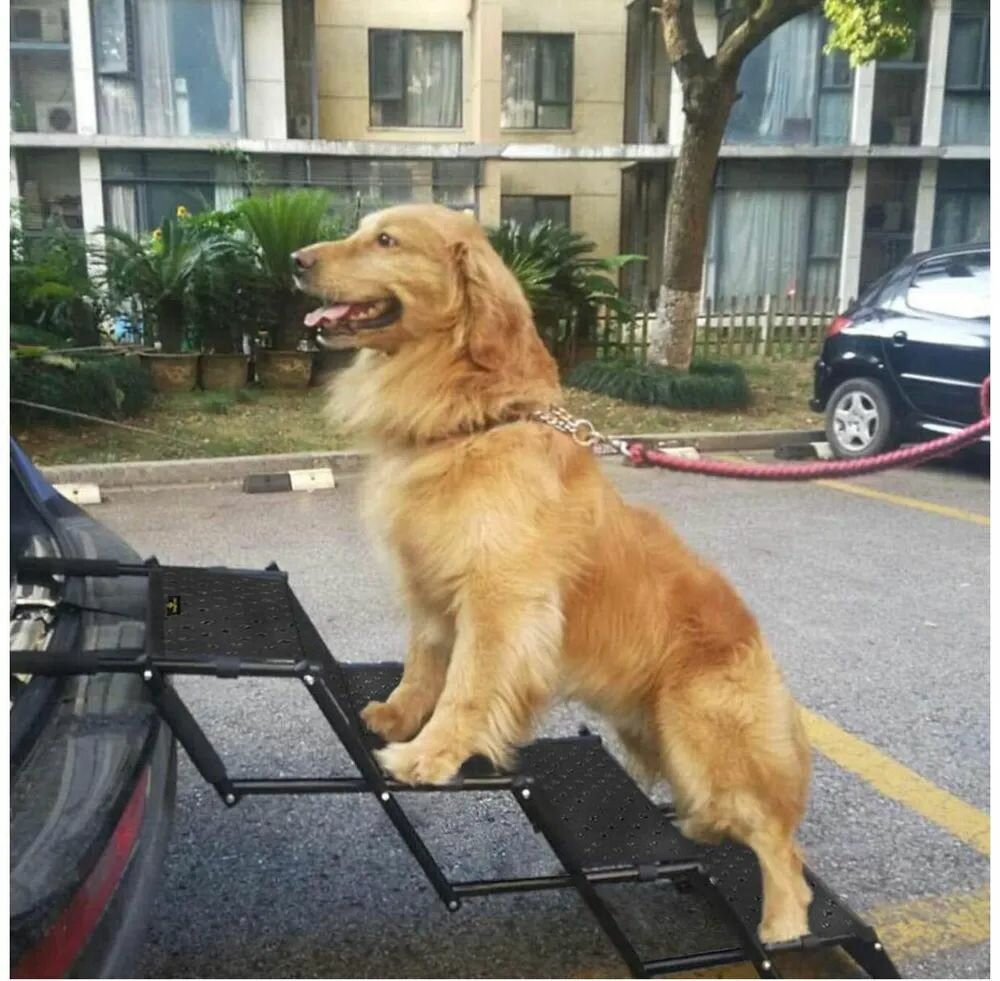 Пандус, лестница для собак в машину