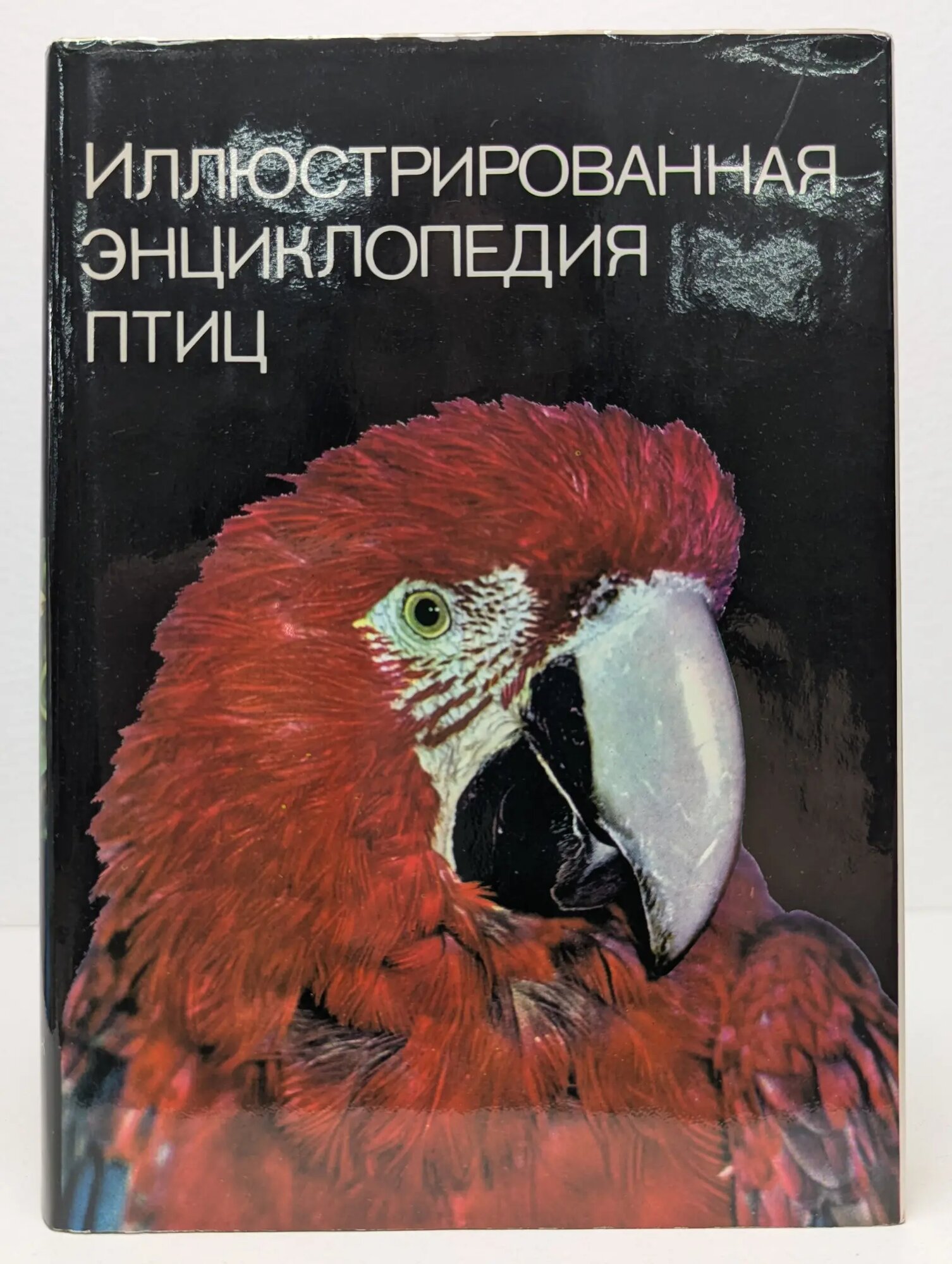 Иллюстрированная энциклопедия птиц Нейфельдт Ирэна Анатольевна (ред.), Позднышев Пётр Михайлович (ред.) 1974