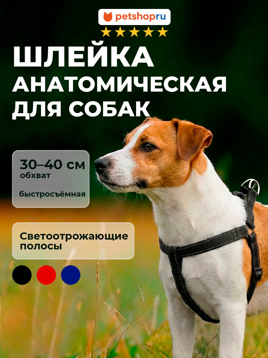 PETSHOP Шлейка для собак "Турбо", обхват 30-40 см, черная
