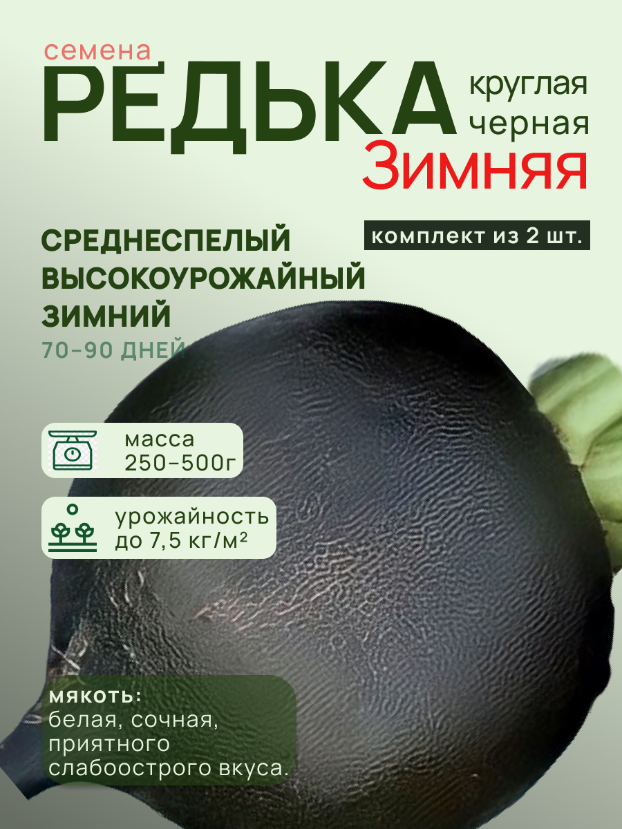 Семена Редьки Зимней, круглая, черная, сочная, нежная, 2 пакета
