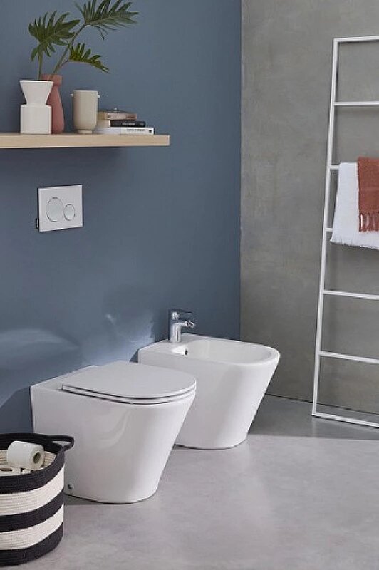 Биде напольное Jacob Delafon RODIN+ белый