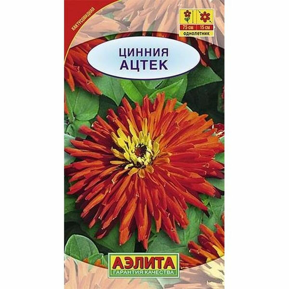 Семена Цинния Ацтек, однолетник, Аэлита, 1 пачка - 0.3г семян