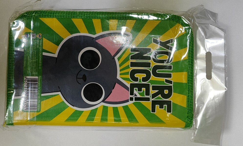 Пенал односекционный большой, ПО-02, GREAT JOB 2023