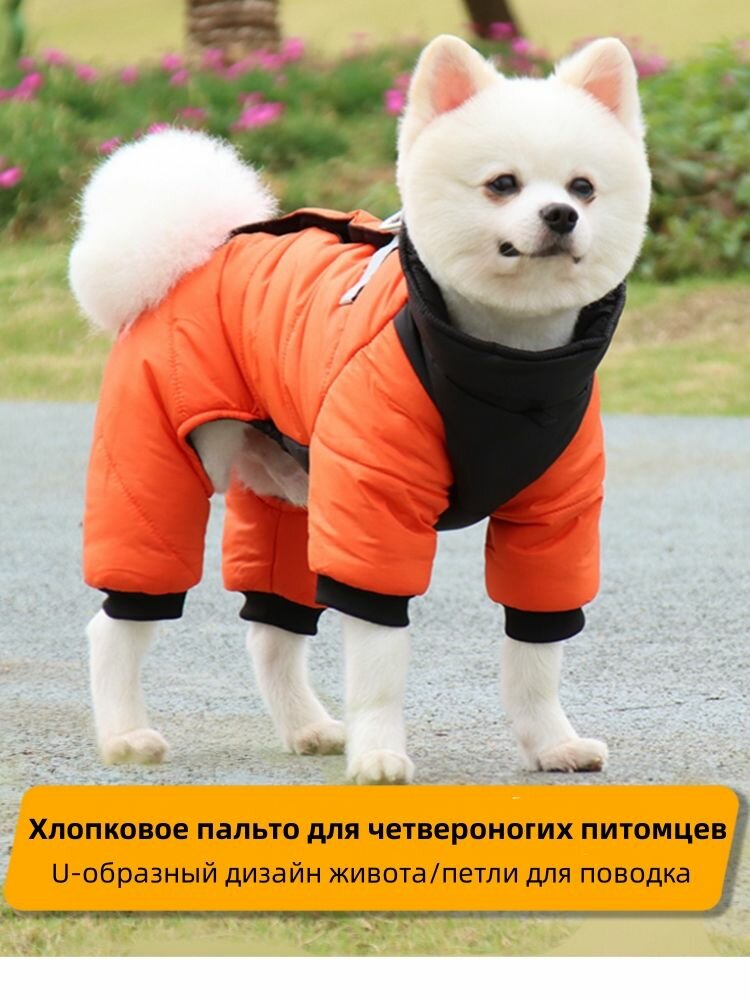 Одежда для животных — фото 1