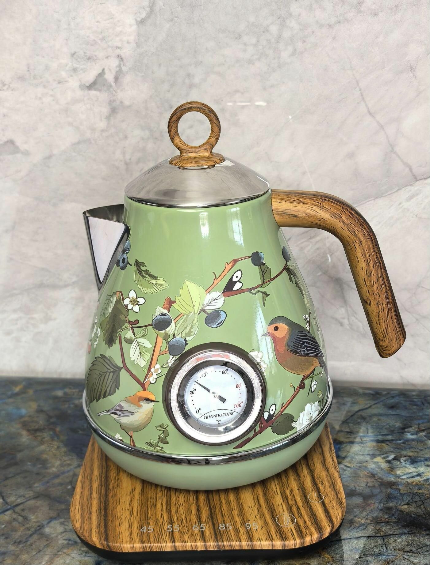 Чайник электрический с регулировкой температуры Ретро-стиль; зеленый