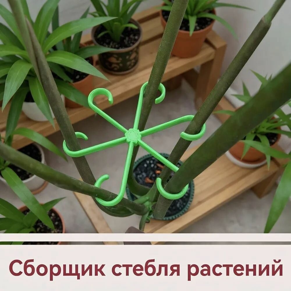 Фитомодуль,13.5см,4шт