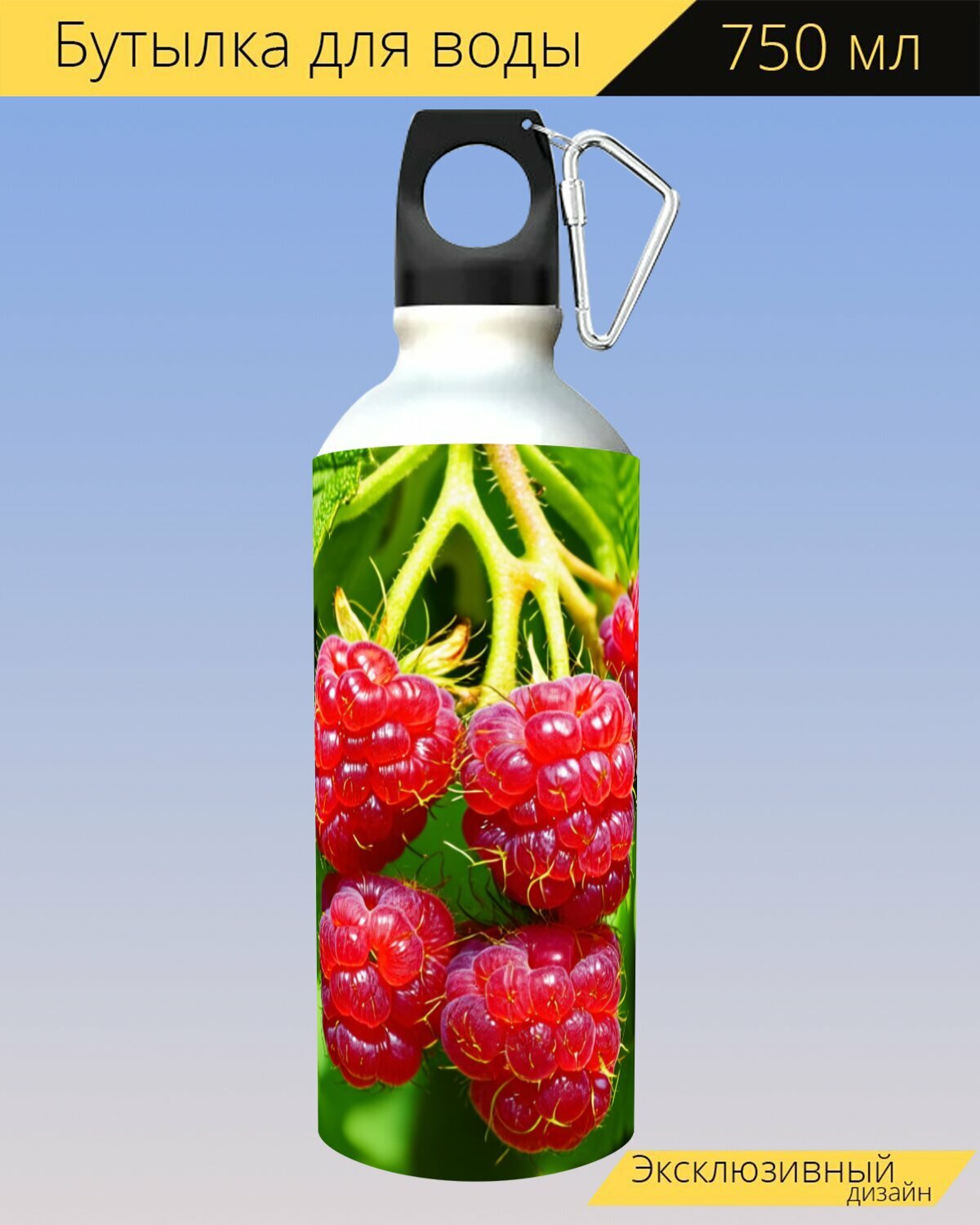 Бутылка фляга для воды "Сочные красные малины на фоне зелёных листьев. Яркие и детализированные ягоды, с характерной структурой. Естественное." 750 мл. с карабином и принтом