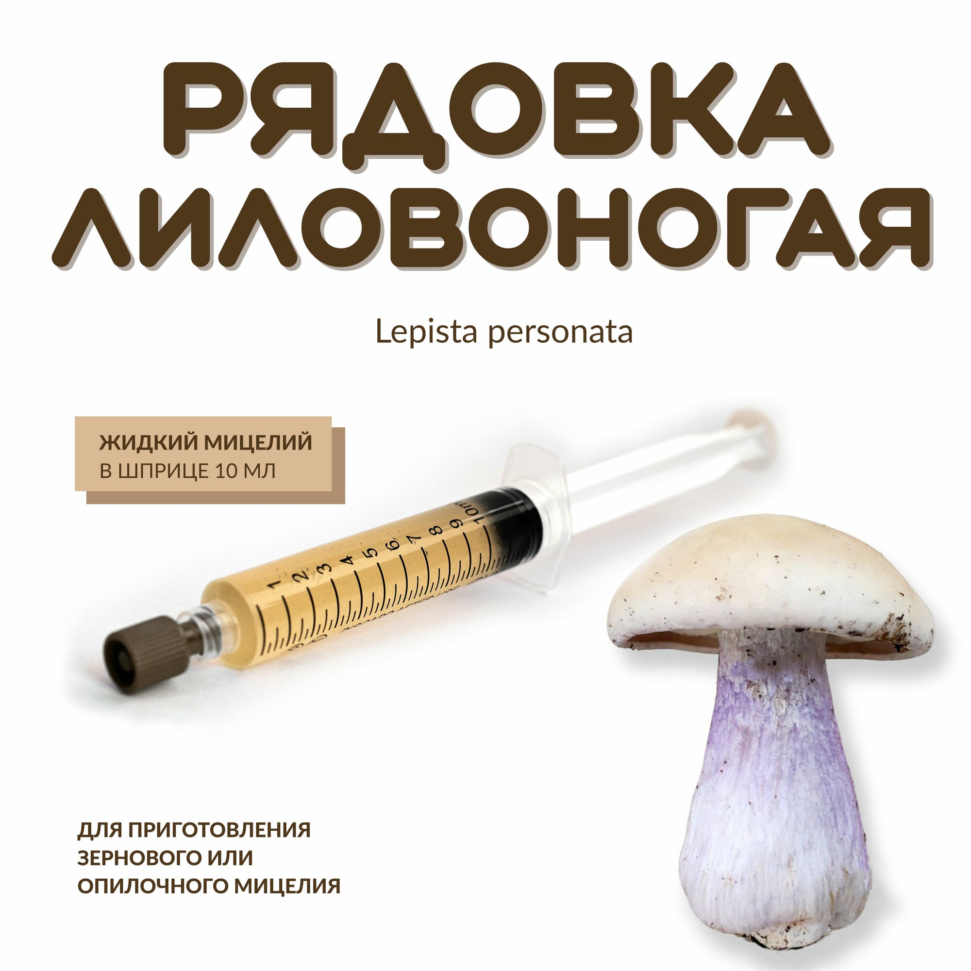 Жидкий мицелий Рядовки лиловоногой