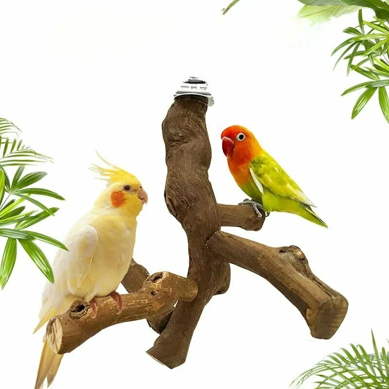 Подставка для попугая деревянная жердочка для птиц натуральное дерево для стачивания когтей диаметром около 2,5 см (около 1 дюйма)